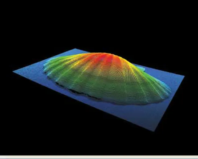 Scanning Scallops in 3-D | Vision Systems Design