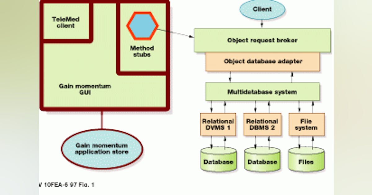 Computing Systems Use Object Oriented Software For Medical Databases