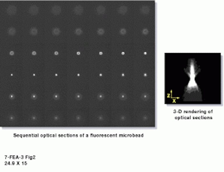 Blind deconvolution help 3-D reconstruction of microscope images | Vision Systems Design