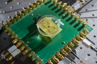 CMOS image sensor to provide real-time 3D images from inside the heart ...