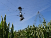 Plant scientists develop airborne vision system for crop phenotyping ...
