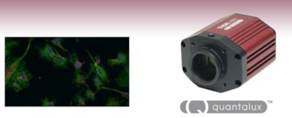 Scientific CMOS camera from Thorlabs enables multispectral imaging ...