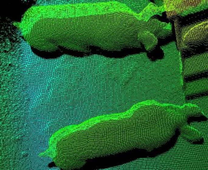 3D vision system monitors the behavior of pigs | Vision Systems Design