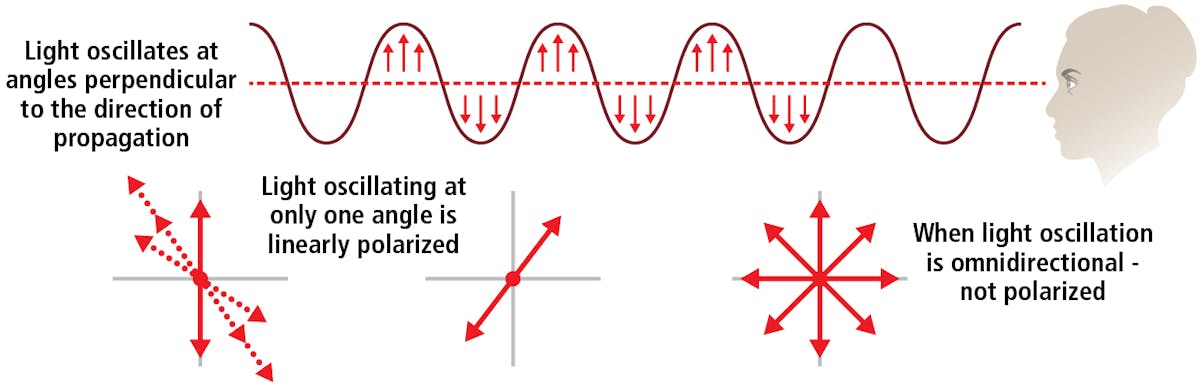 polarization definition of concepts techniques technologies | Vision ...