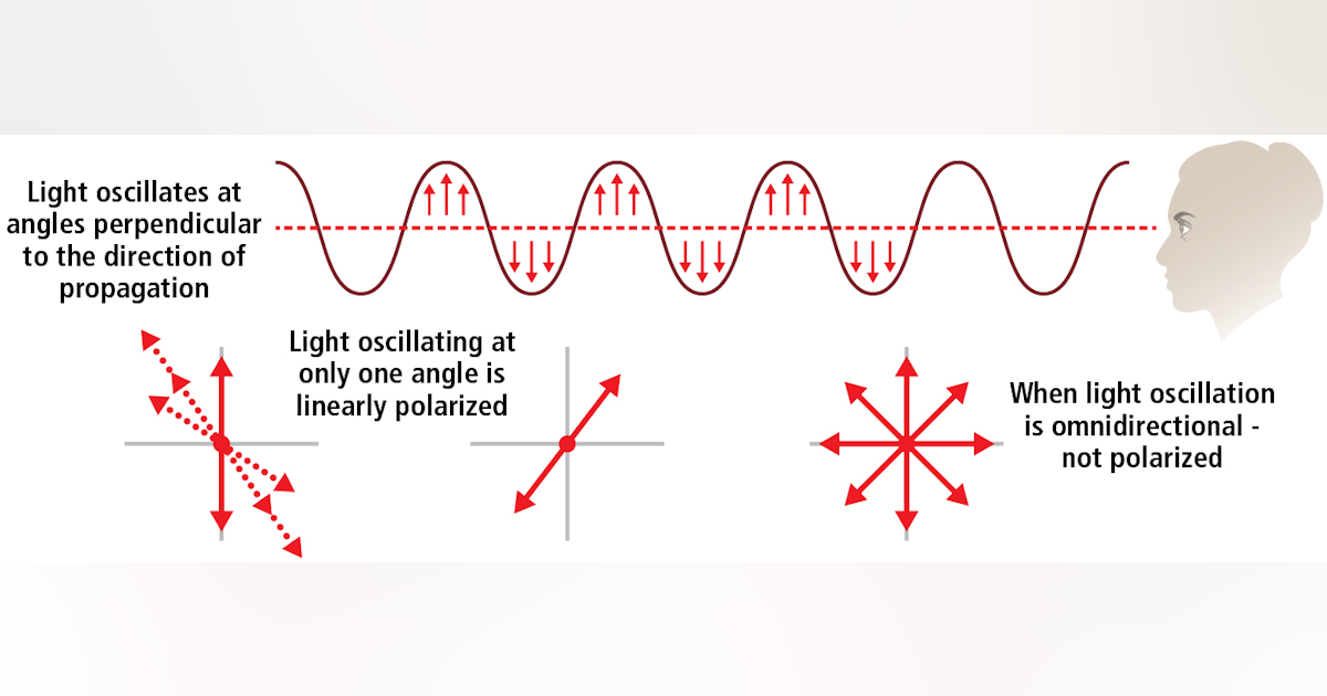 Polarization 101 Concepts Techniques And Technologies Vision