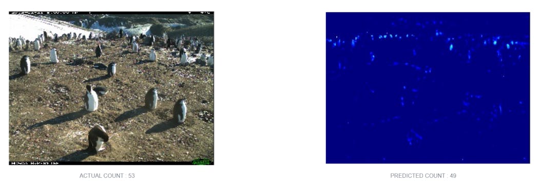 Deep learning algorithms use density-based crowd counting to track ...