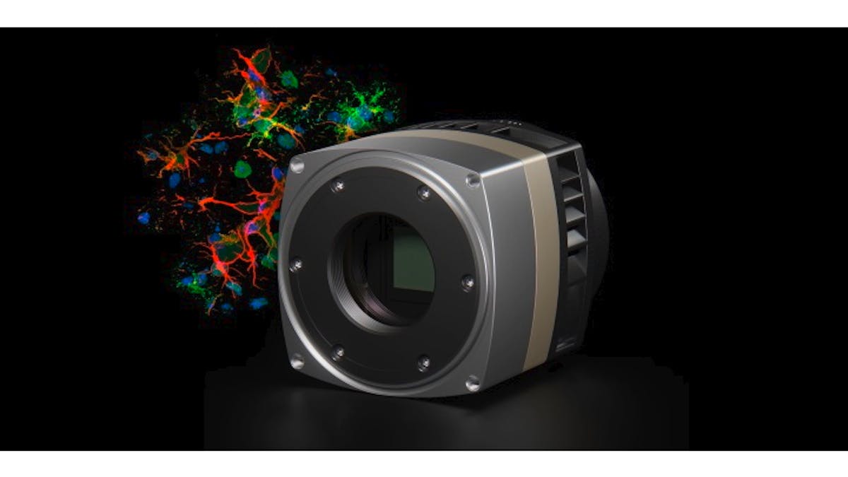 scientific sCMOS camera backside illuminated GSENSE sensors XIMEA ...