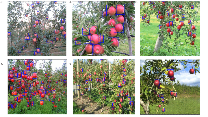Vision-based robotic apple picker features novel deep learning algorithms | Vision Systems Design