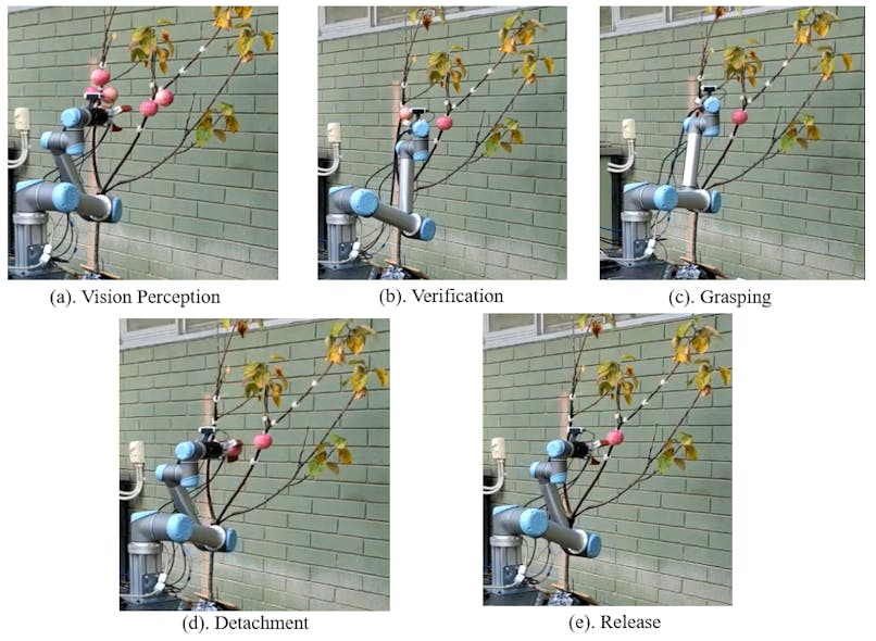 Vision-based robotic apple picker features novel deep learning algorithms | Vision Systems Design