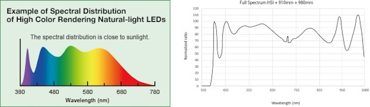 Machine vision lighting for pharmaceutical and medical device ...