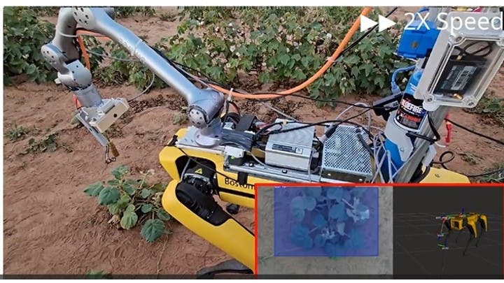 Weed Control System Uses Robotic Dog, Machine Vision, and Flamethrower ...